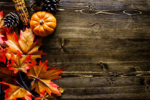 35+ Thanksgiving Zoom Background 2023 Pictures & Wallpapers