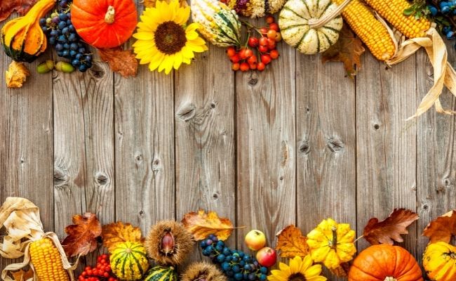 35+ Happy Thanksgiving Zoom Background 2022 Pictures & Wallpapers